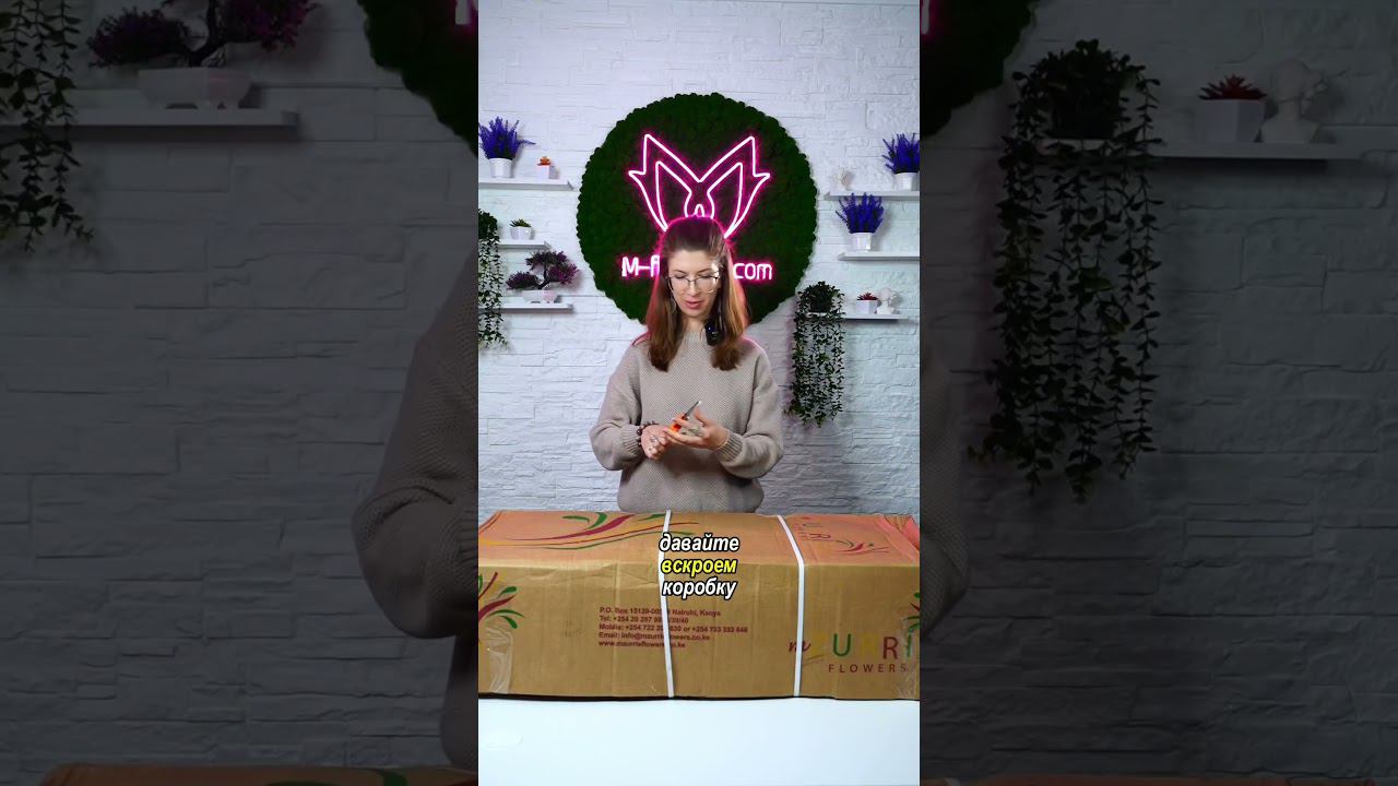 Распаковка кенийской садовой кустовой розы от #Mzurrie #mflowers #цветы #цветочныйбизнес #цветыоптом