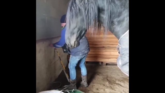 подборка приколов 70