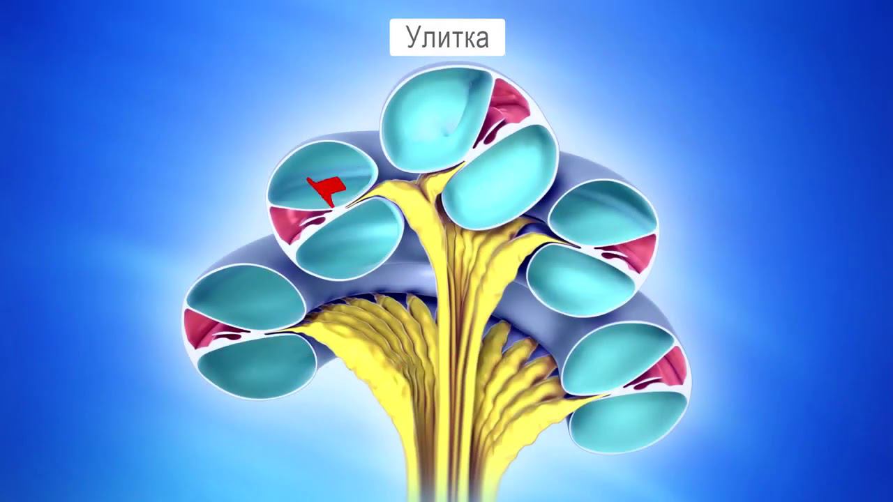 Методика Томатис