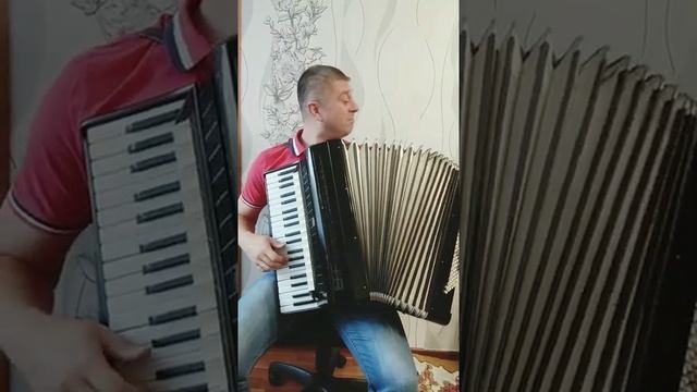 DESPACITO НА АККОРДЕОНЕ ?? АККОРДЕОНИСТ #shorts