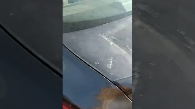 VID_20221222_214813_500.mp4