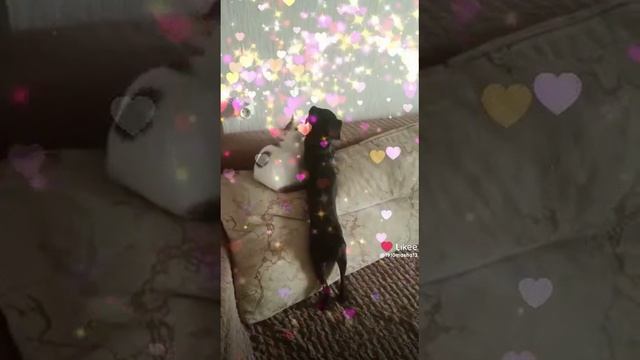 Like_7127618508712359696