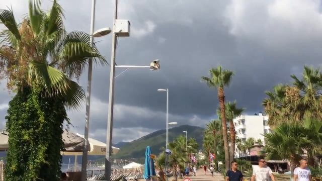 #8 ТУРЦИЯ || ОБЗОР ОТЕЛЯ SERIN HOTEL 3 || ЛЕТИМ ДОМОЙ