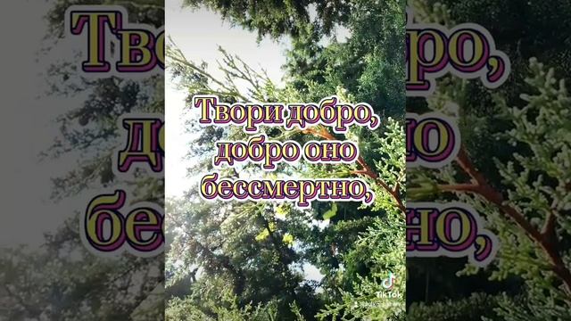 Твори добро