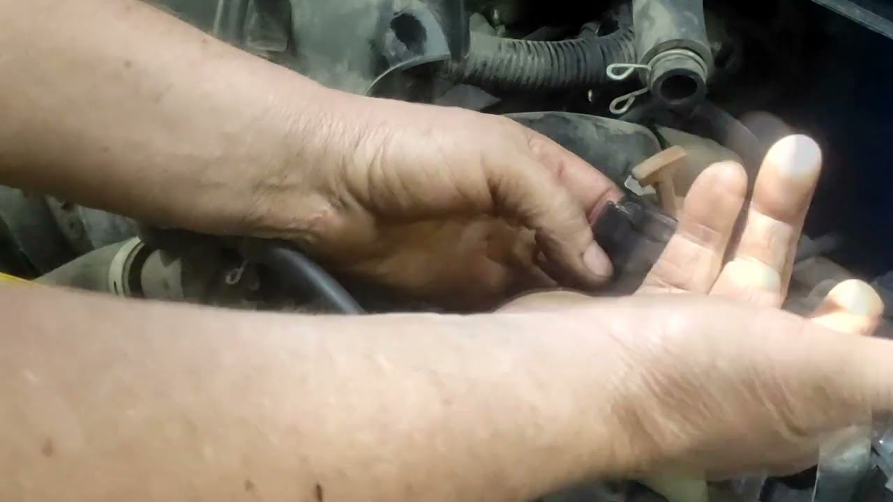 КХХ что же там шумит?