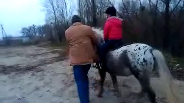 Родео-клуб 11.11.2018