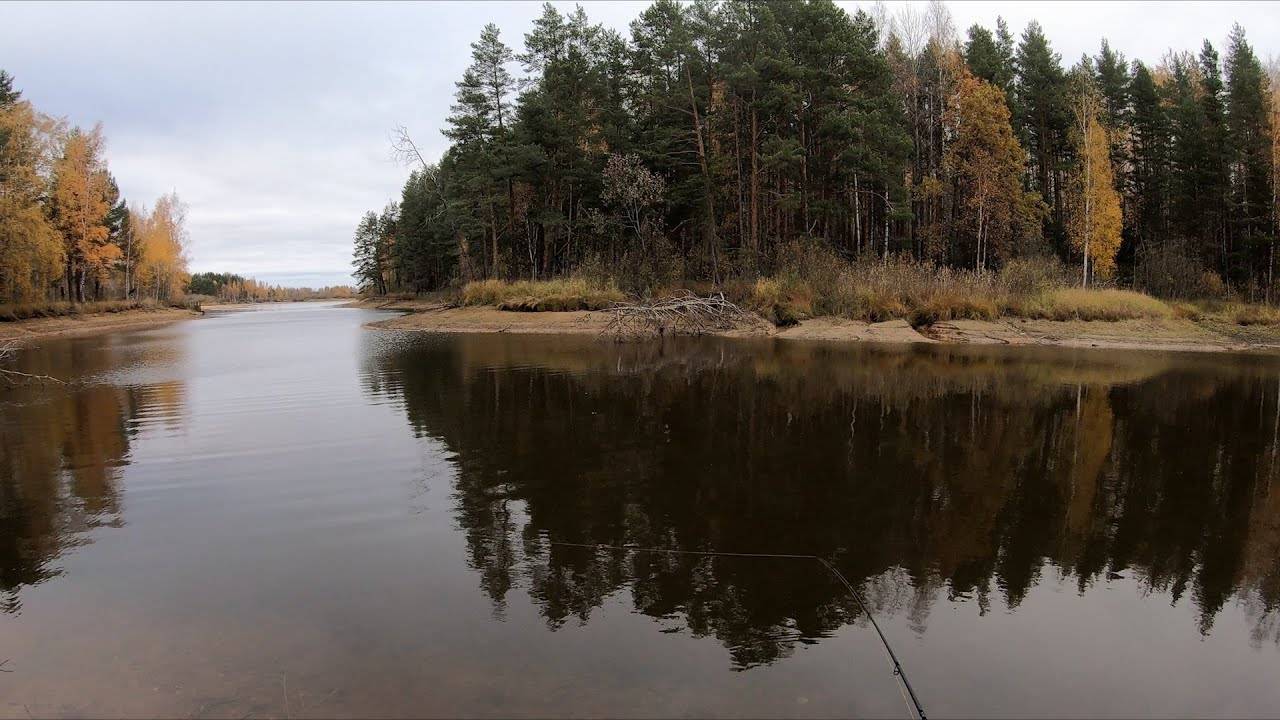 Поиск щуки по малым рекам | Браконьерские сети | Тайга осень