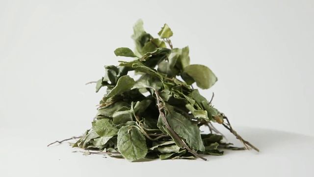 Боровая матка.mp4