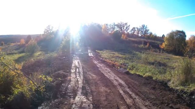 мой пруд, прошу совет как найти родник