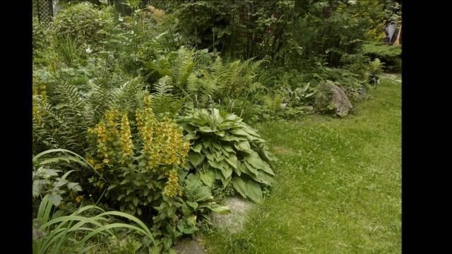 Прогулка по саду Наталии Жуковой, часть 1