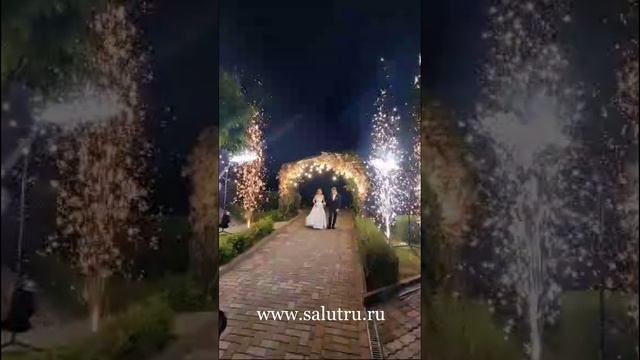 Фонтаны и вертушки, фейерверк на свадьбу в Самаре и Тольятти #shorts