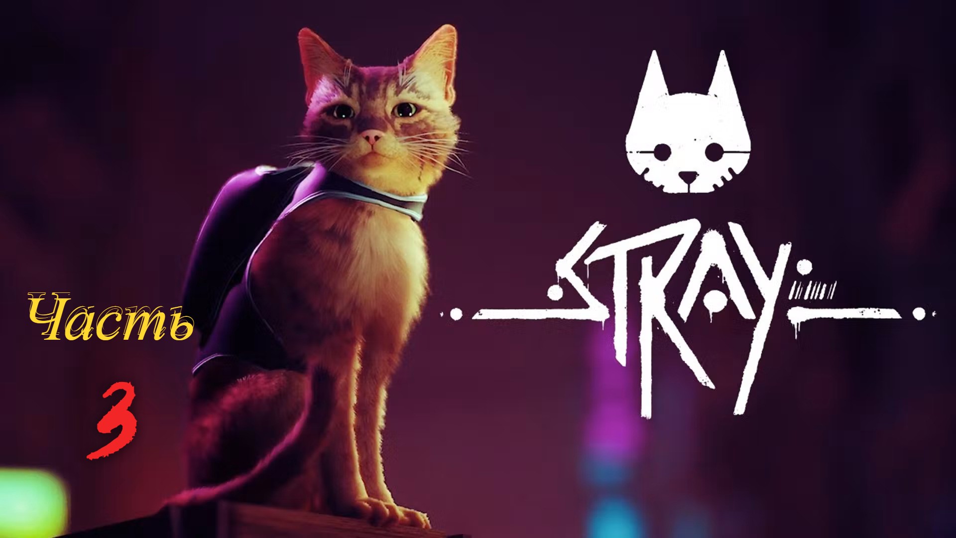 Stray#3