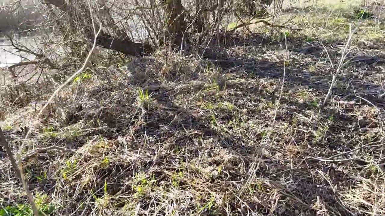 Бывший Юрьевский пруд