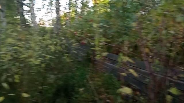 1Старое кладбище.mp4