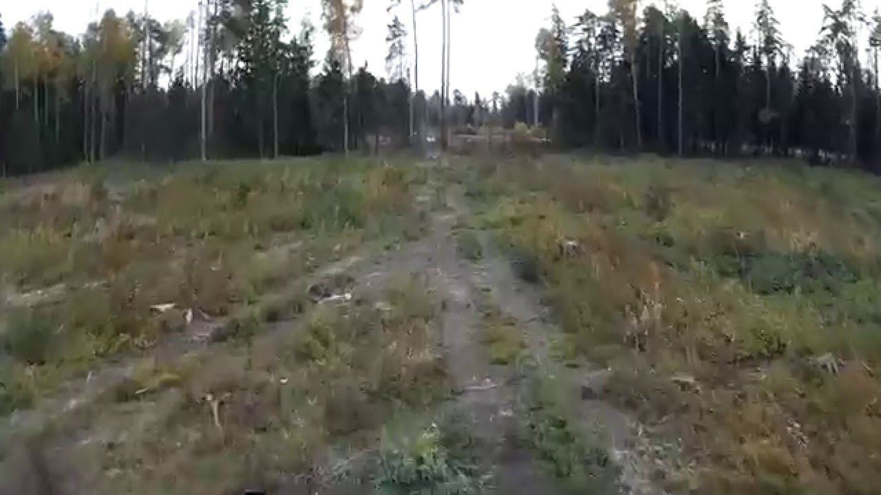 RC ZMR250 лес вырубка