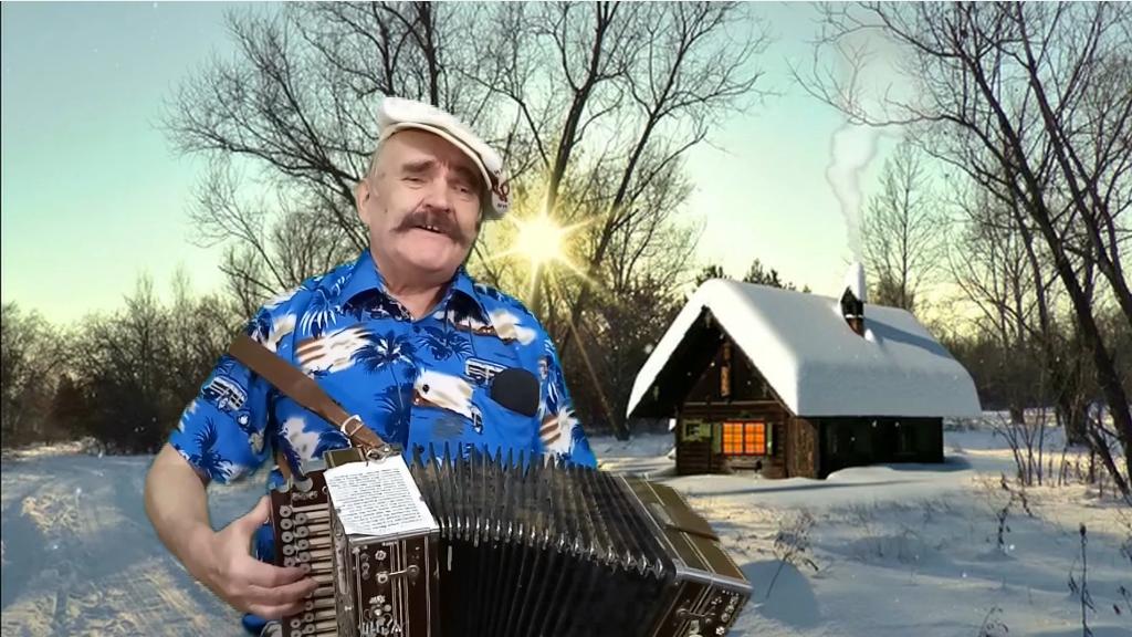 ЦЫГАНОЧКА под стон гармошки╰❥ Играй гармонь народная!!! Исполняет Николай Новиков