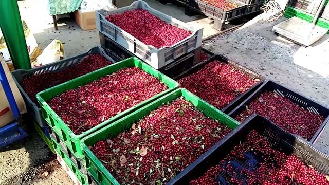 Маргаритинка 2020.Облпотребсоюз.mp4