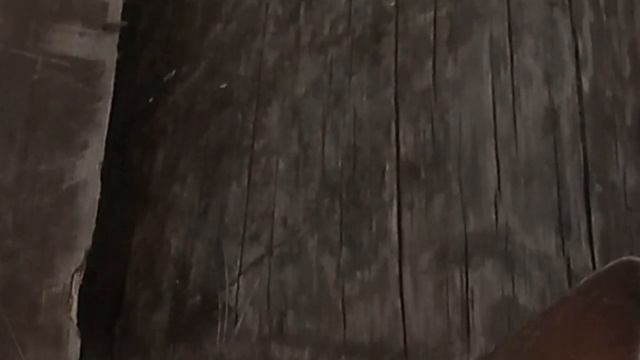 Селигер 21.mp4