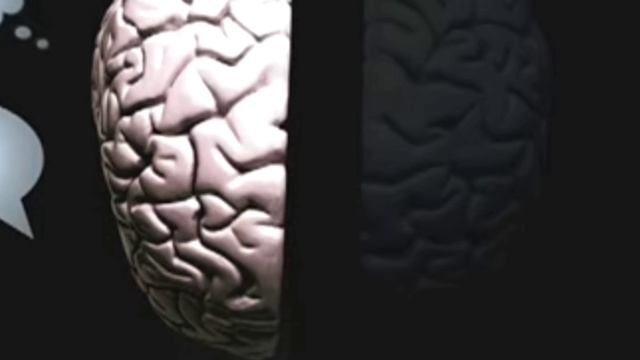 связь мозга и ума