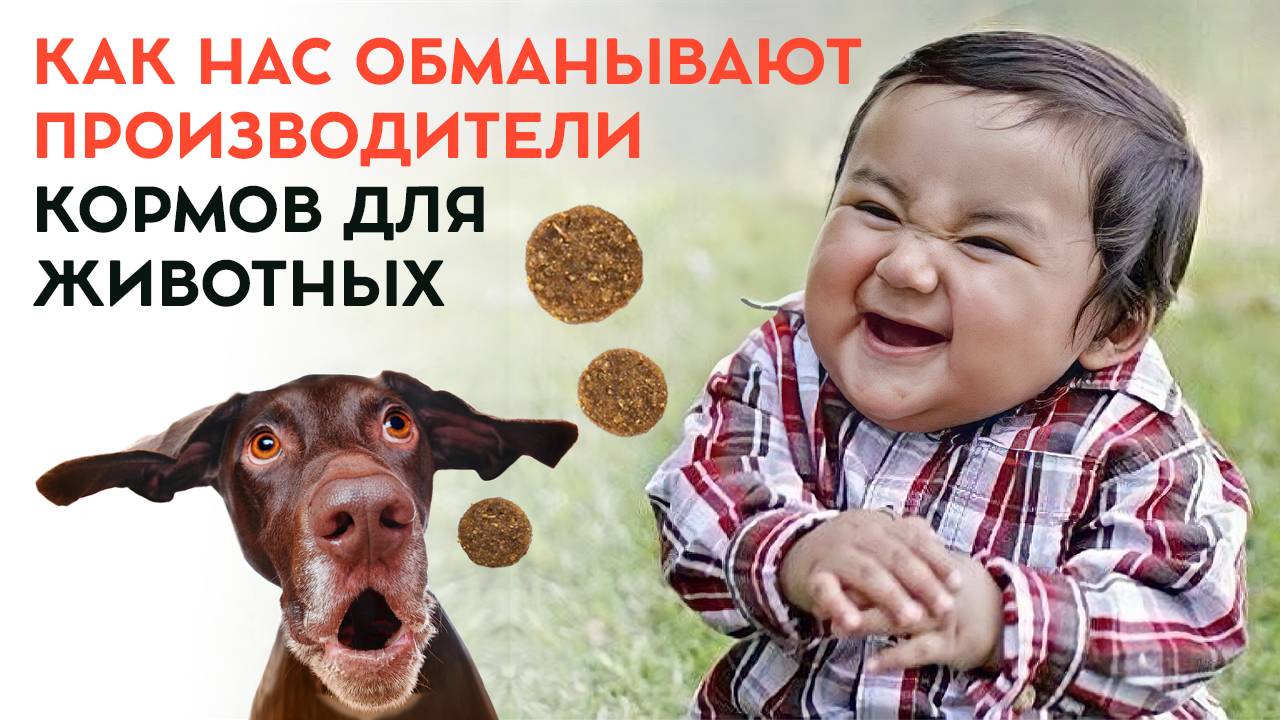 Корм для домашних животных. Как нас обманывают производители.