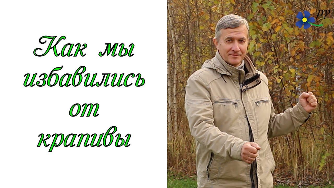 Как мы избавились от крапивы