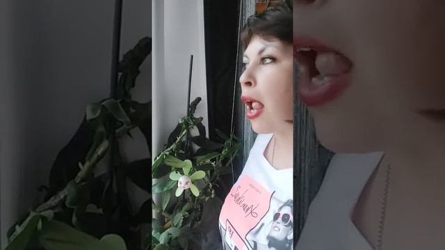 Привет сосед