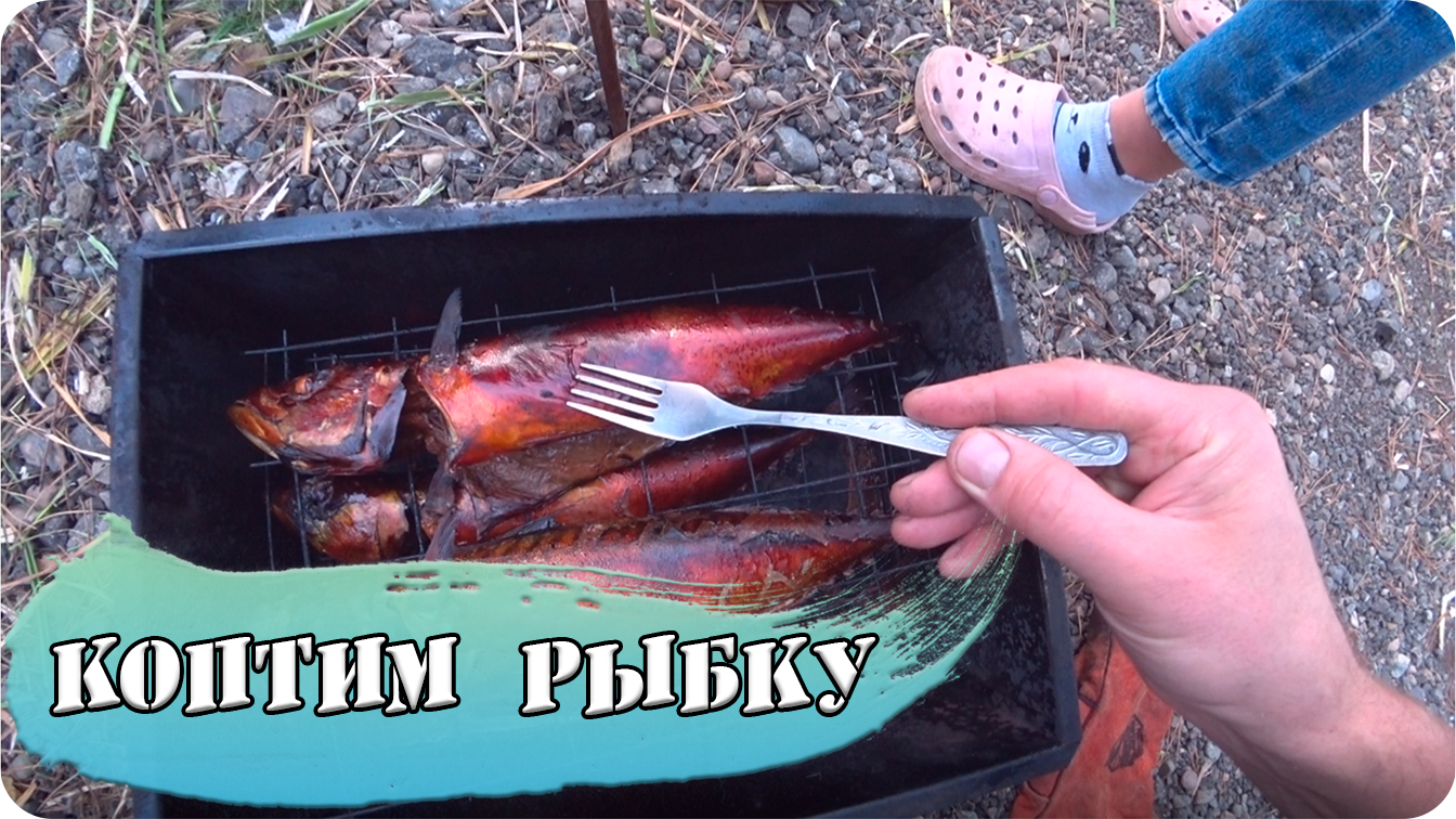 Деревенские будни / Убираюсь на участке / Коптим скумбрию