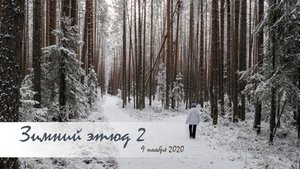 Зимний этюд 2. Panosonic Lumix TZ 110 4K.mp4