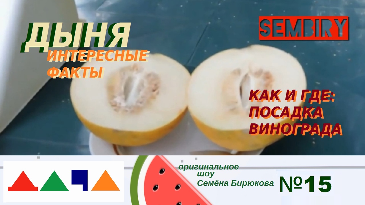 ДЫНЯ НА СТОЛЕ. КАК И ГДЕ САЖАТЬ ВИНОГРАД? ШОУ ДАЧА. Выпуск от 30.04.2023