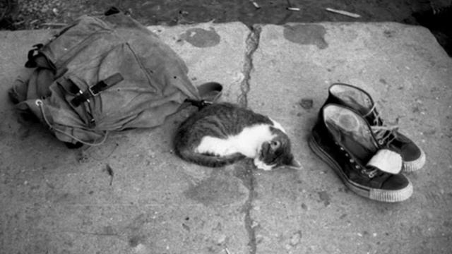 Кочевники 62-64