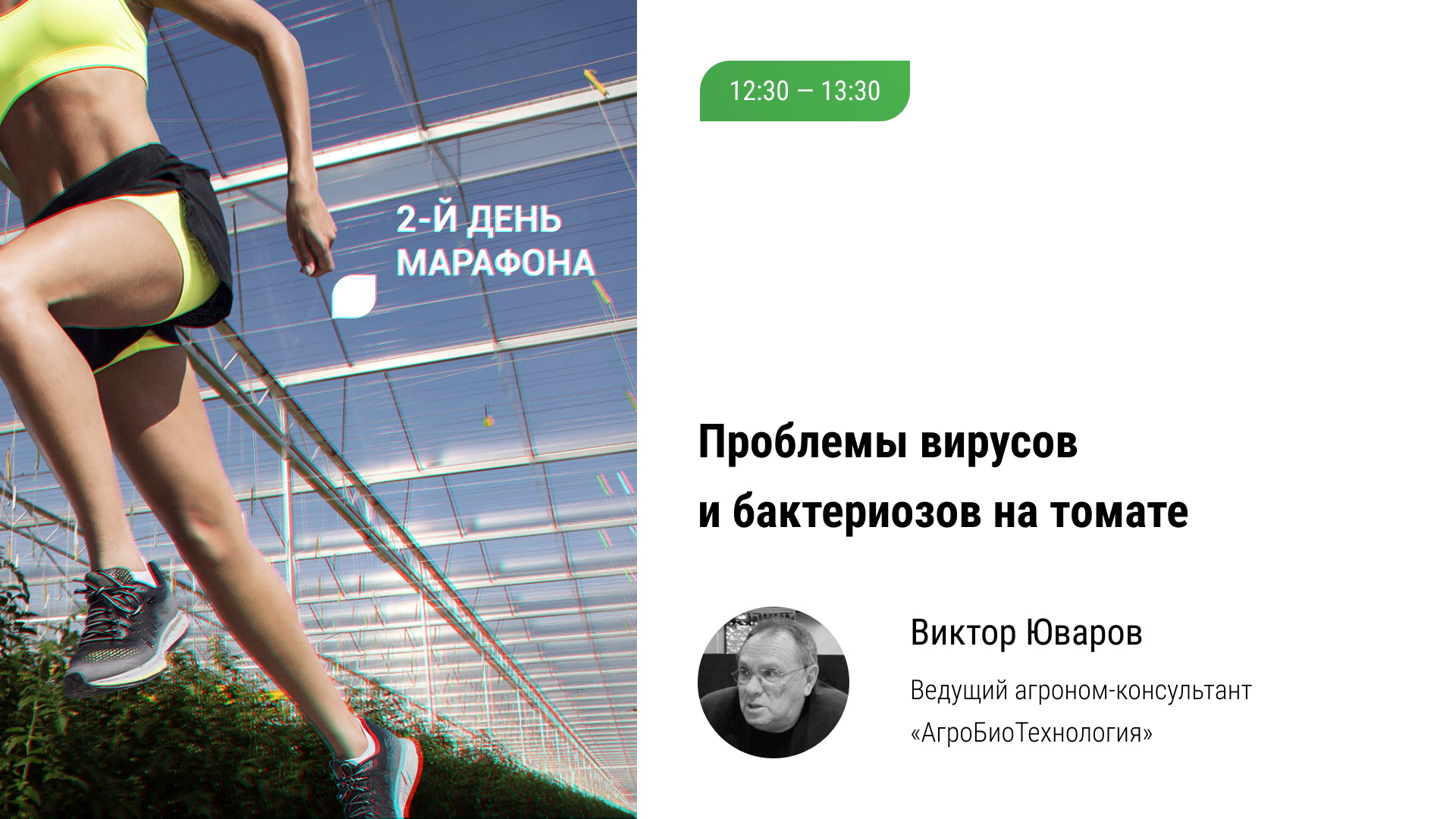 ? Источники инфекции в тепличных комплексах. Проблемы вирусов, бактериозов томата. Система защиты