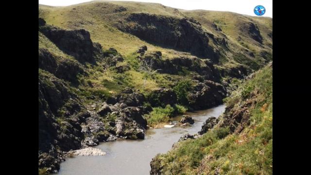 Речные гиды