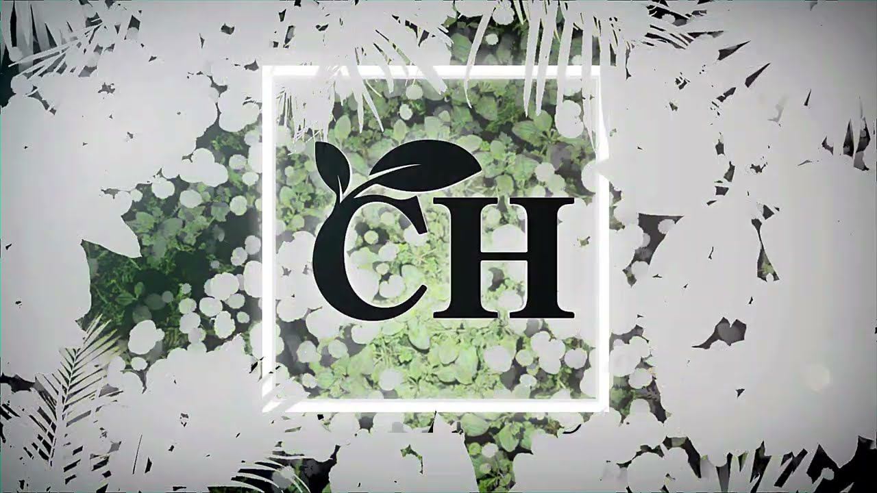 Country House - Коттеджный поселок (Октябрь 2023)