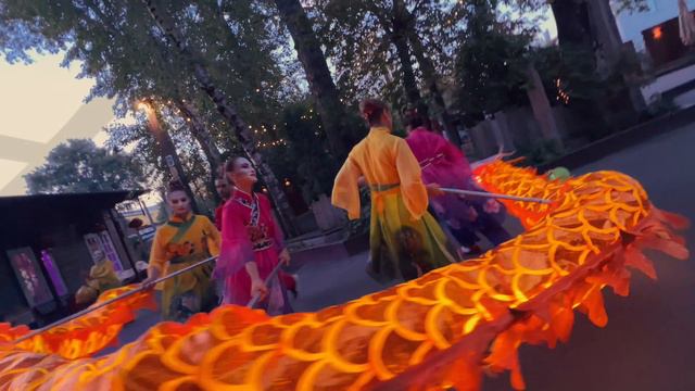 Свадебное шоу. Веера(5), дракон, 2 льва