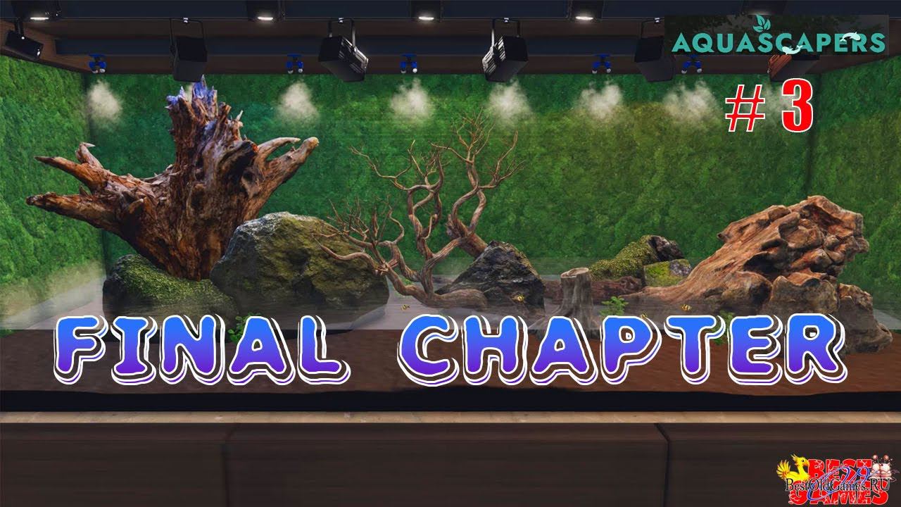 Aquascapers - Final chapter. Paludarium