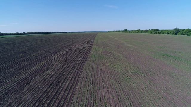 МТЗ – 82 с Gaspardo