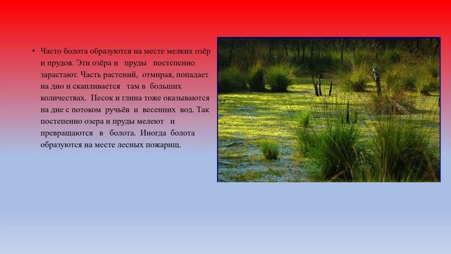 Болота, их осушение география 6 кл 1.mp4