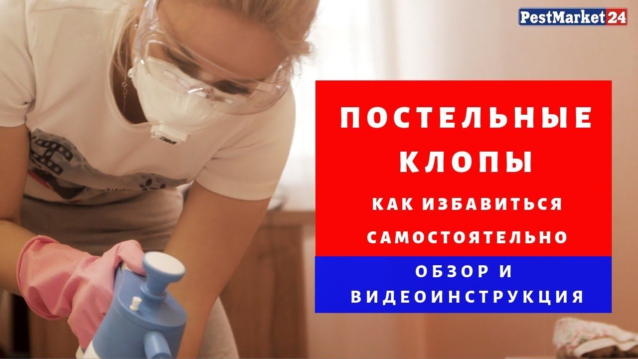 Как избавиться от клопов I Постельные клопы в квартире I Лучшее средство от клопов