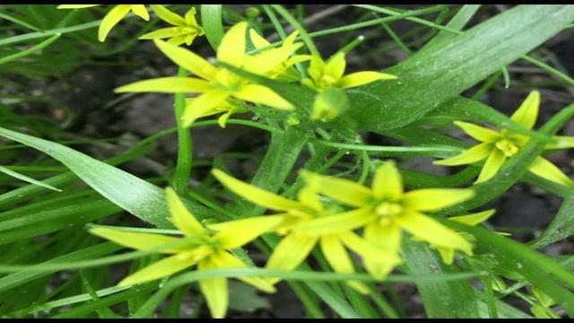 вот и весна