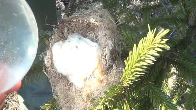 Огонь  из презерватива