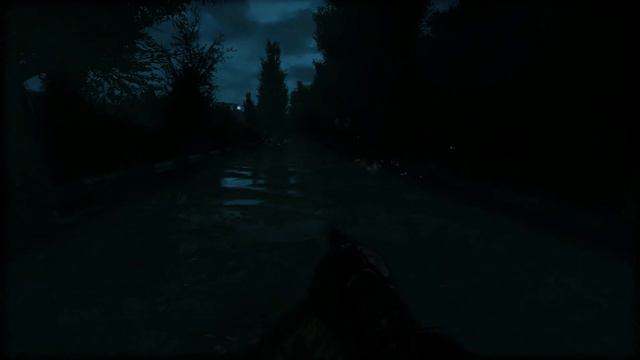 Can 17 year old S.T.A.L.K.E.R. game look any better? New Anomaly Custom looks phenomenal!