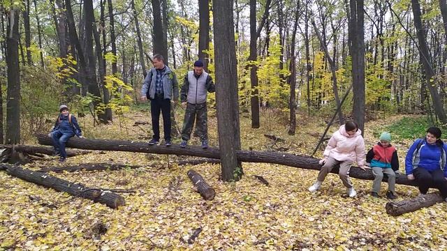 КАЧЕЛИ В ЛЕСУ