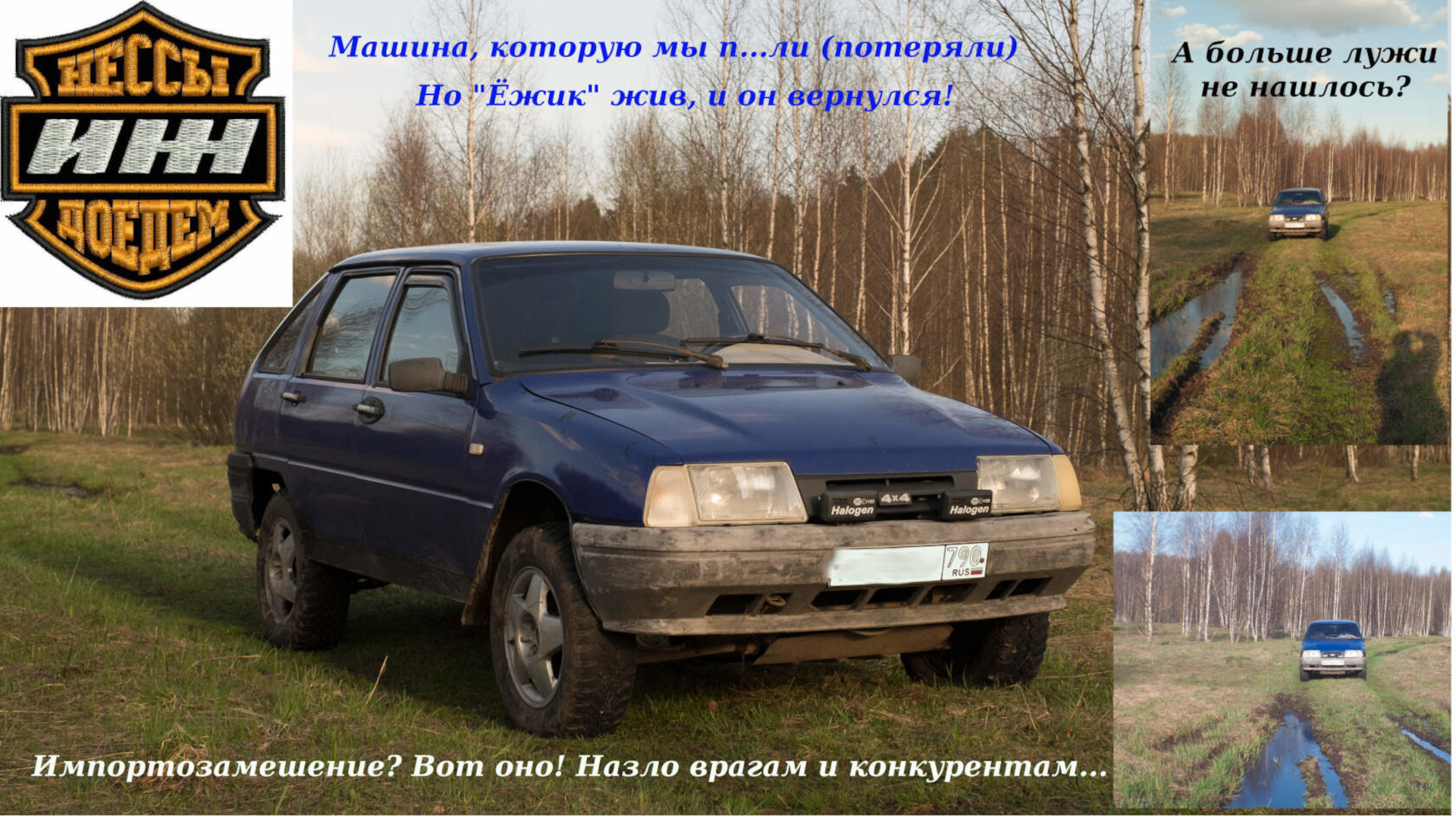 Ёжик на прогулке.mp4