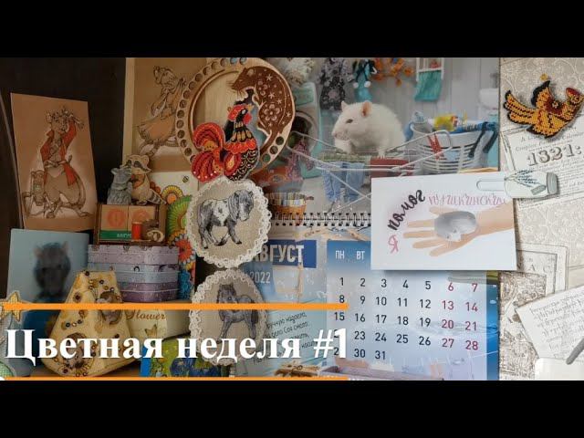 Цветная неделя 1 //Оформление//Финиш// 25.07.22 - 03.08.22 // Вышивка крестом