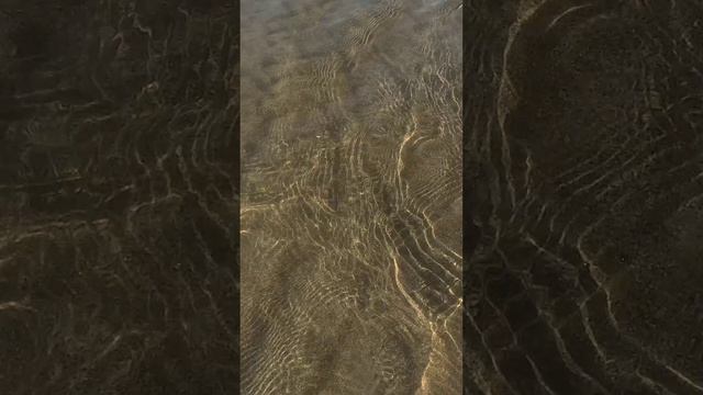 Береги реку