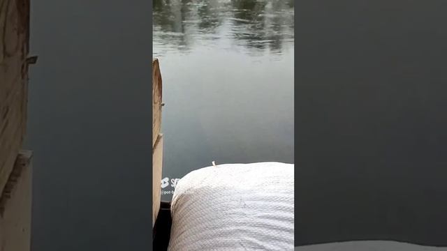 Едем по реке! We're going down the river! #villagelife #деревня #village #река