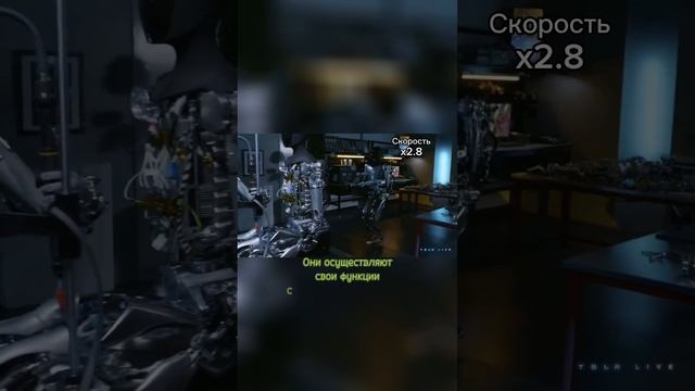 Медленно, но Уверенно: Как Работают Роботы Тесла