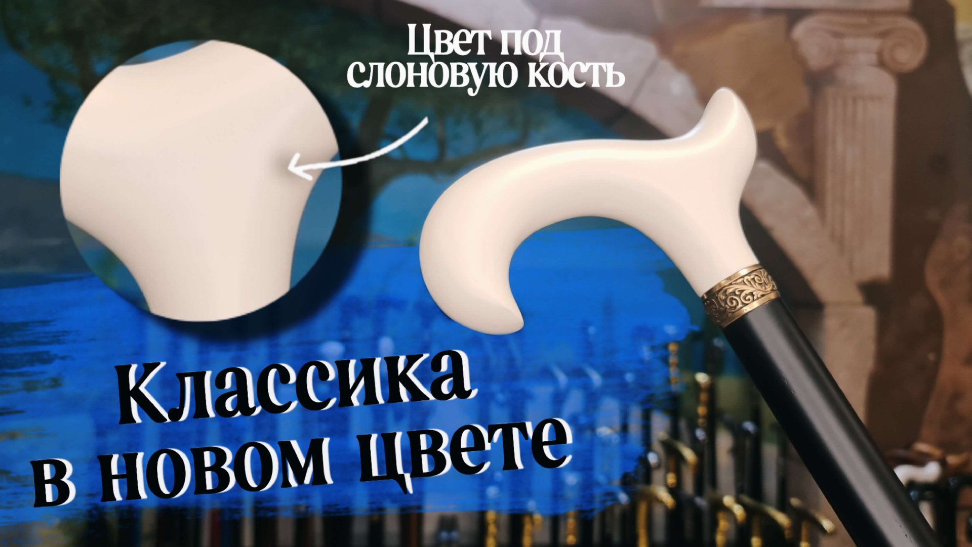 Бюджетный аналог дорогой трости | Губернатор под слоновую кость