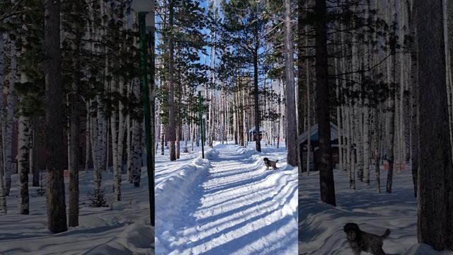 31 марта 2024г. Нижневартовск