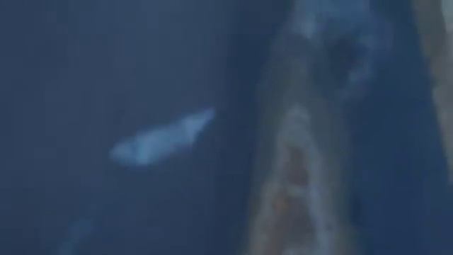 варим петли на бочке.mp4